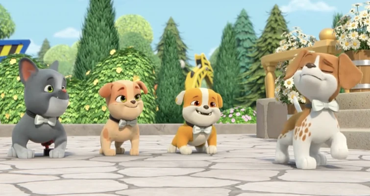 Omg, I'm dying of cuteness!! The Pups looks so cute with their fancy ...