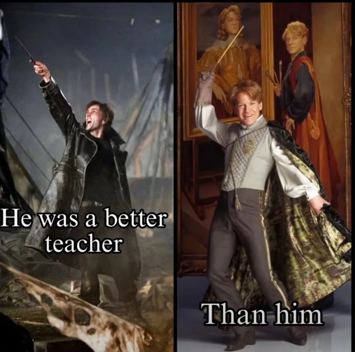 Daily HP Meme #11 | Fandom