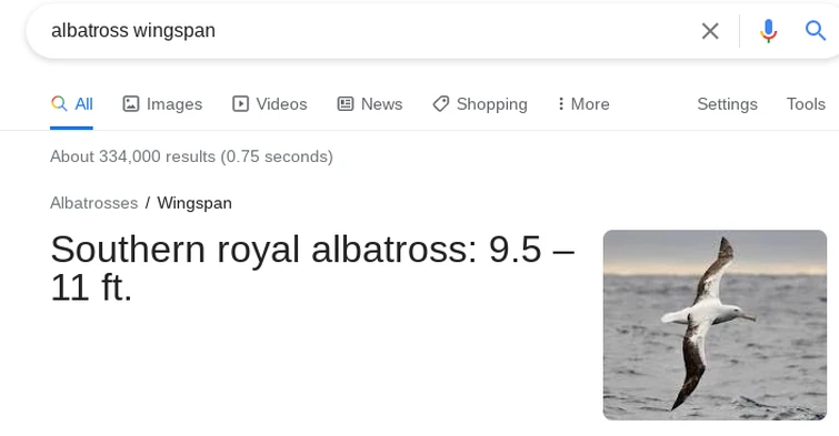 Wingspan | Fandom