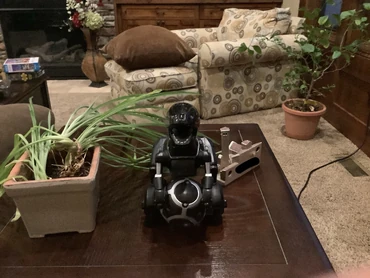 Do you play boblox? | Fandom