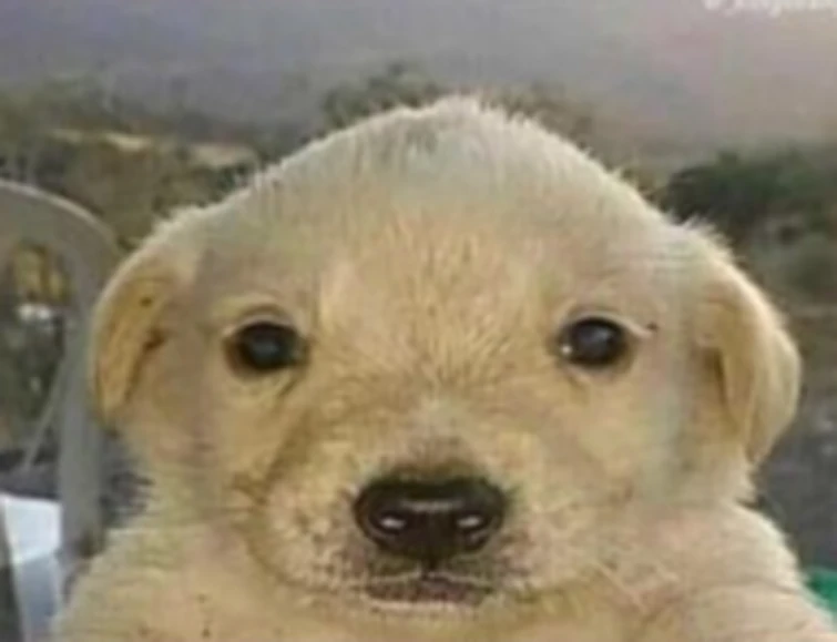 New Multimonster entity | Fandom