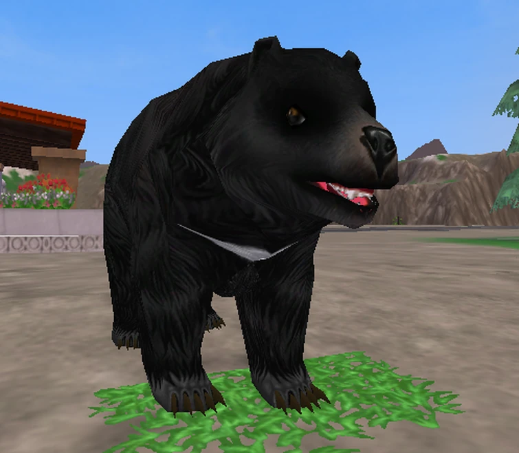 New animal..... | Fandom