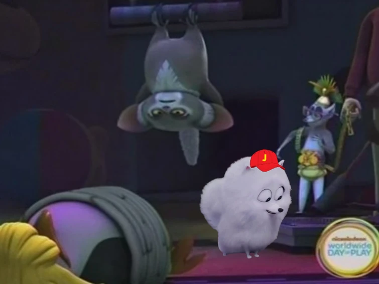 Gidget, Daisy, Chloe, Snowball And Jenny In... Pets Peeved. | Fandom