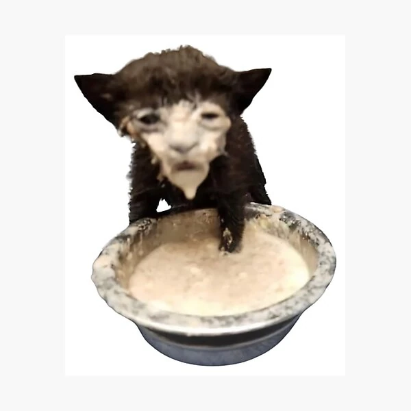 "Third Times The Charm." They Say. (Let's Play!) | Fandom