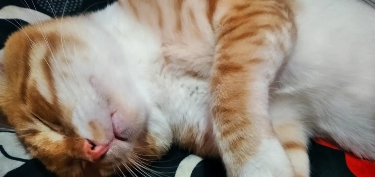 The missile is very tired he is eepy | Fandom