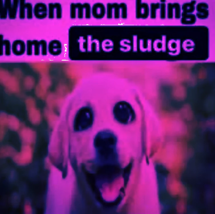 gerson deltarune selfshipping is startign to take a toll on mme ...