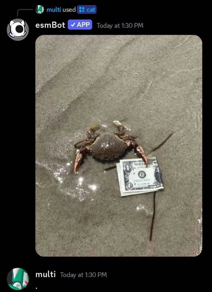 Welcome to hawk tuah Island! | Fandom