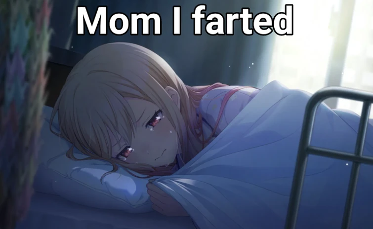 More Mom I Farted memes | Fandom