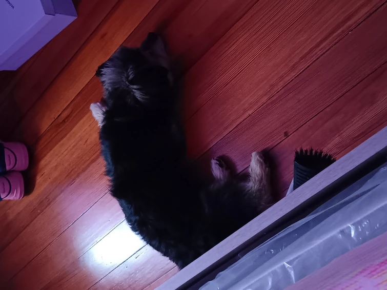 he eepy😴 | Fandom