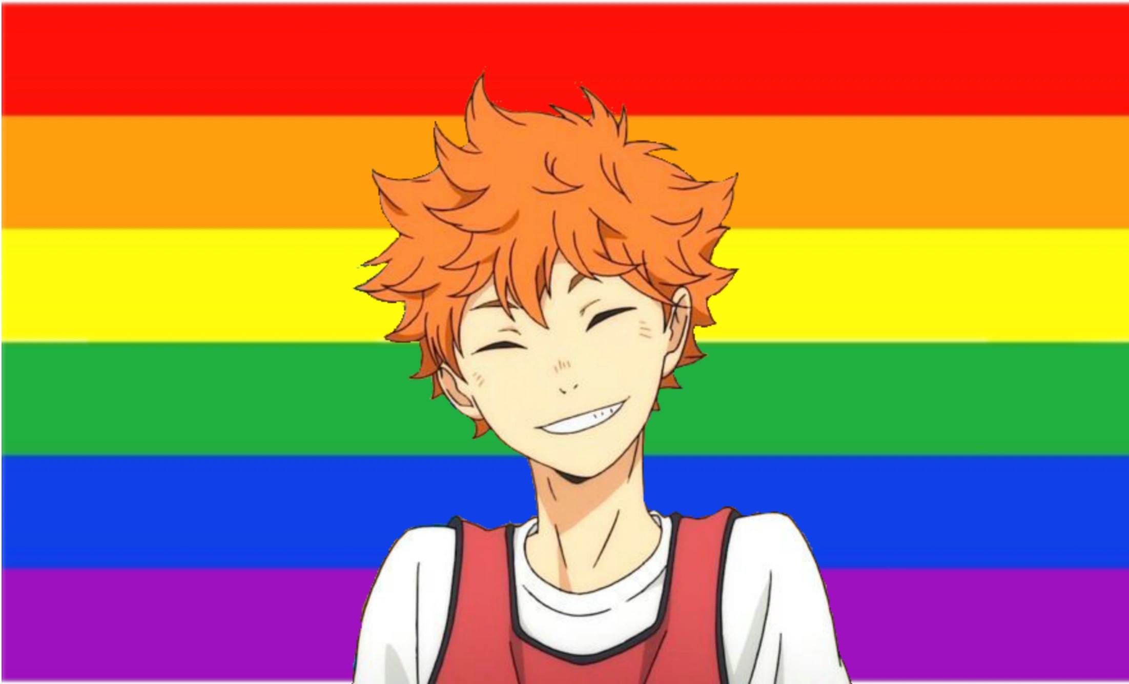 haikyuu pride flags : hinata edition | Fandom