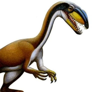 Discuss Everything About Dinopedia | Fandom