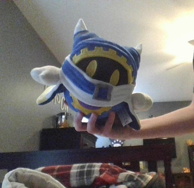 LOOK WHAT PLUSH I JUST ORDERED !!! | Fandom