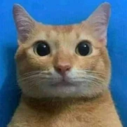 this guy should be a nextbot tbh. he should just be like vhs themed tbh ...