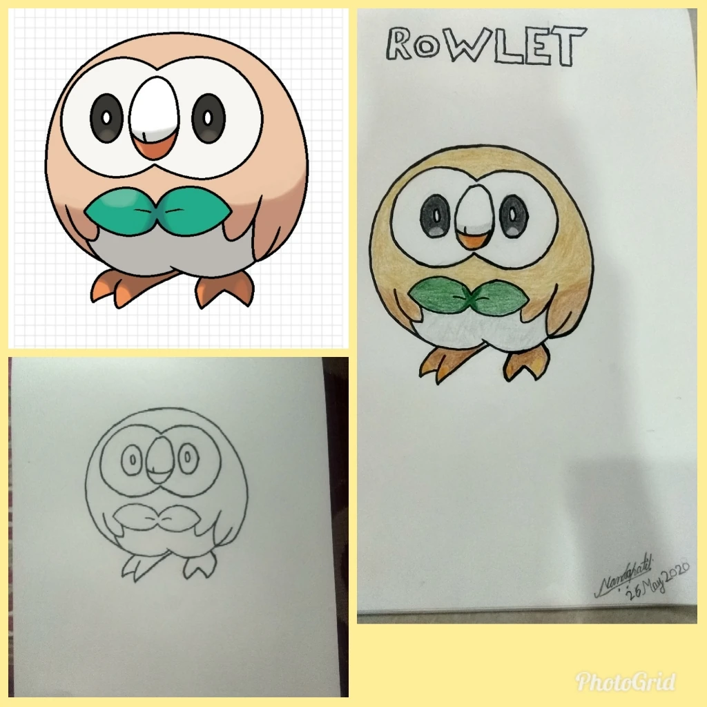 My new Drawing (ROWLET) | Fandom