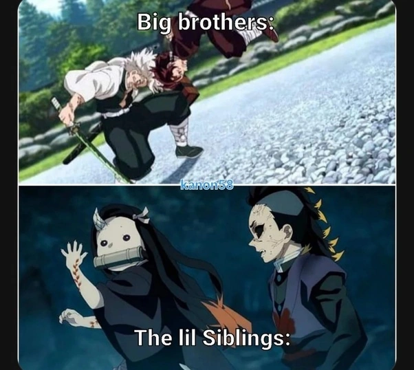 Demon slayer Memes | Fandom
