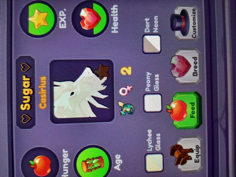 🌟 inventory + stables auction | Fandom