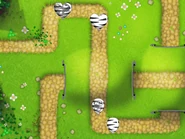 Zebra Bloon | Bloons Wiki | Fandom