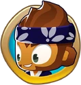 Heroes | Bloons Wiki | Fandom