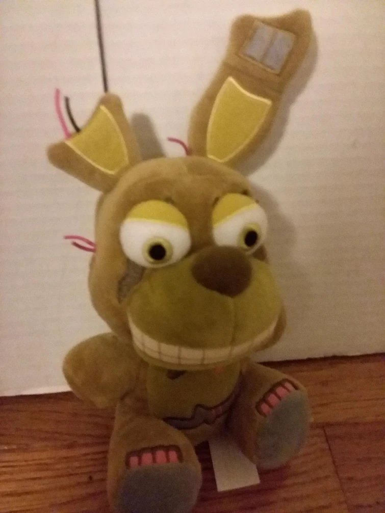 Spring bonnie | Fandom