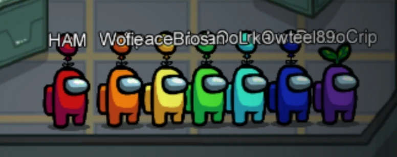 The Rainbow Crew | Fandom