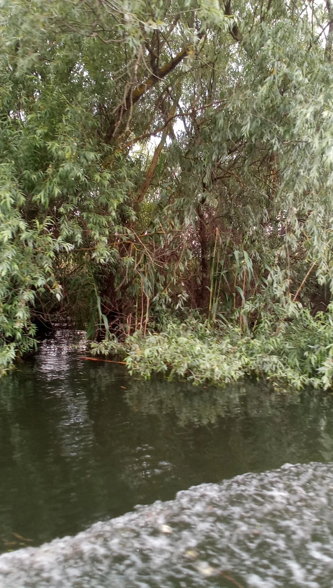 Hhhhhhhhhhhh *dies because of boat* | Fandom