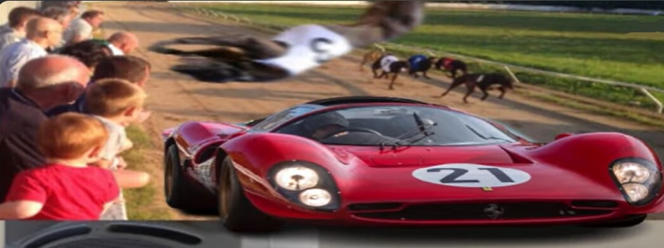 what opinion on the BFDI wiki gets you like this? | Fandom