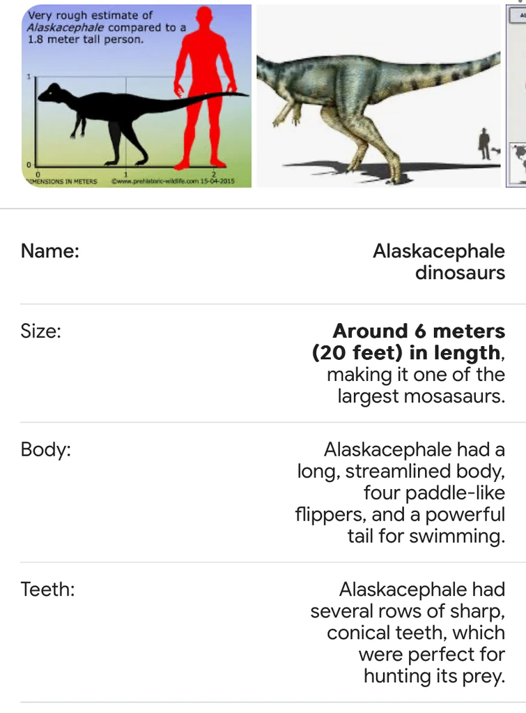 www, random animals from the prince creek formation | Fandom