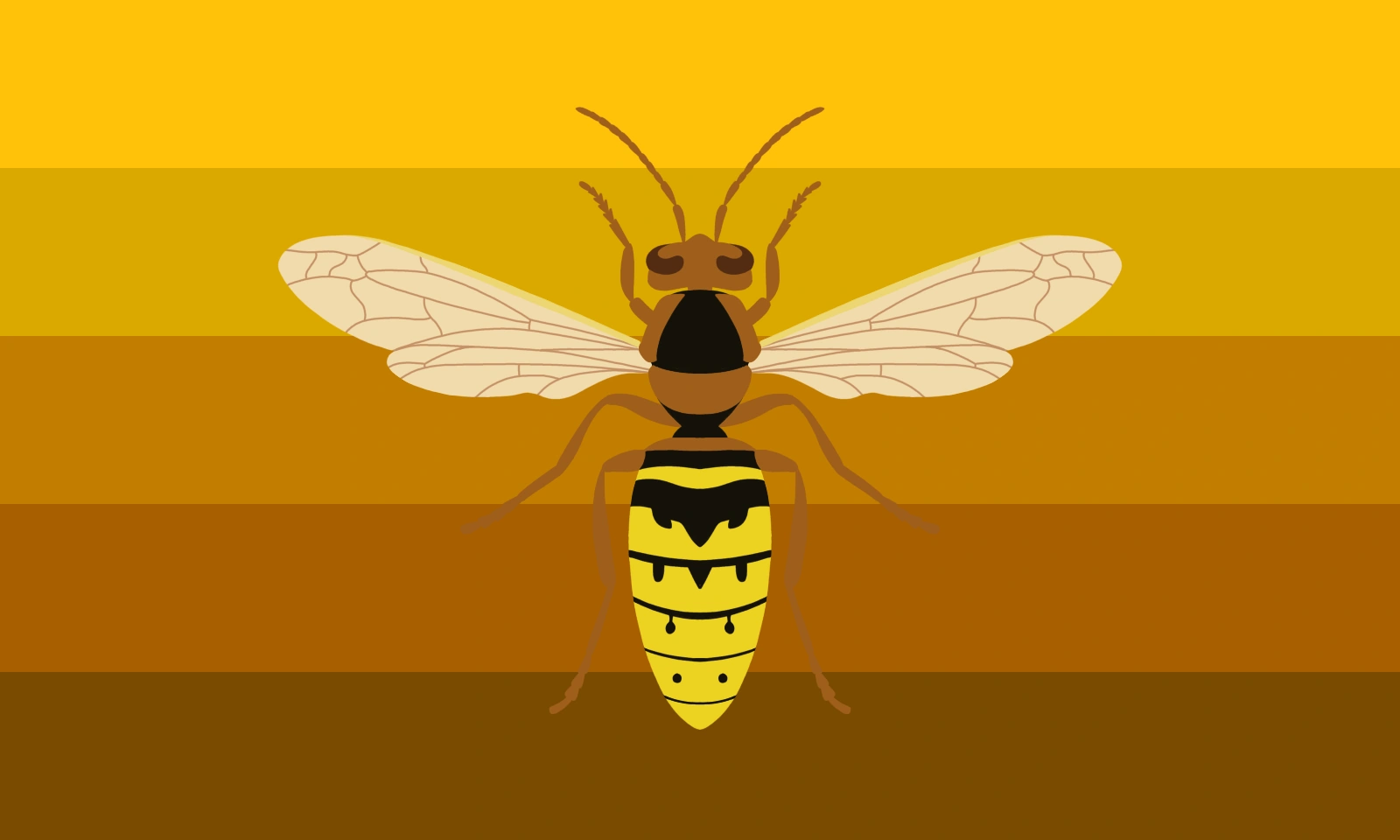 Coining post | Fandom