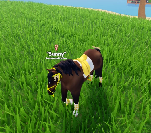 Let me introduce you to sunny | Fandom