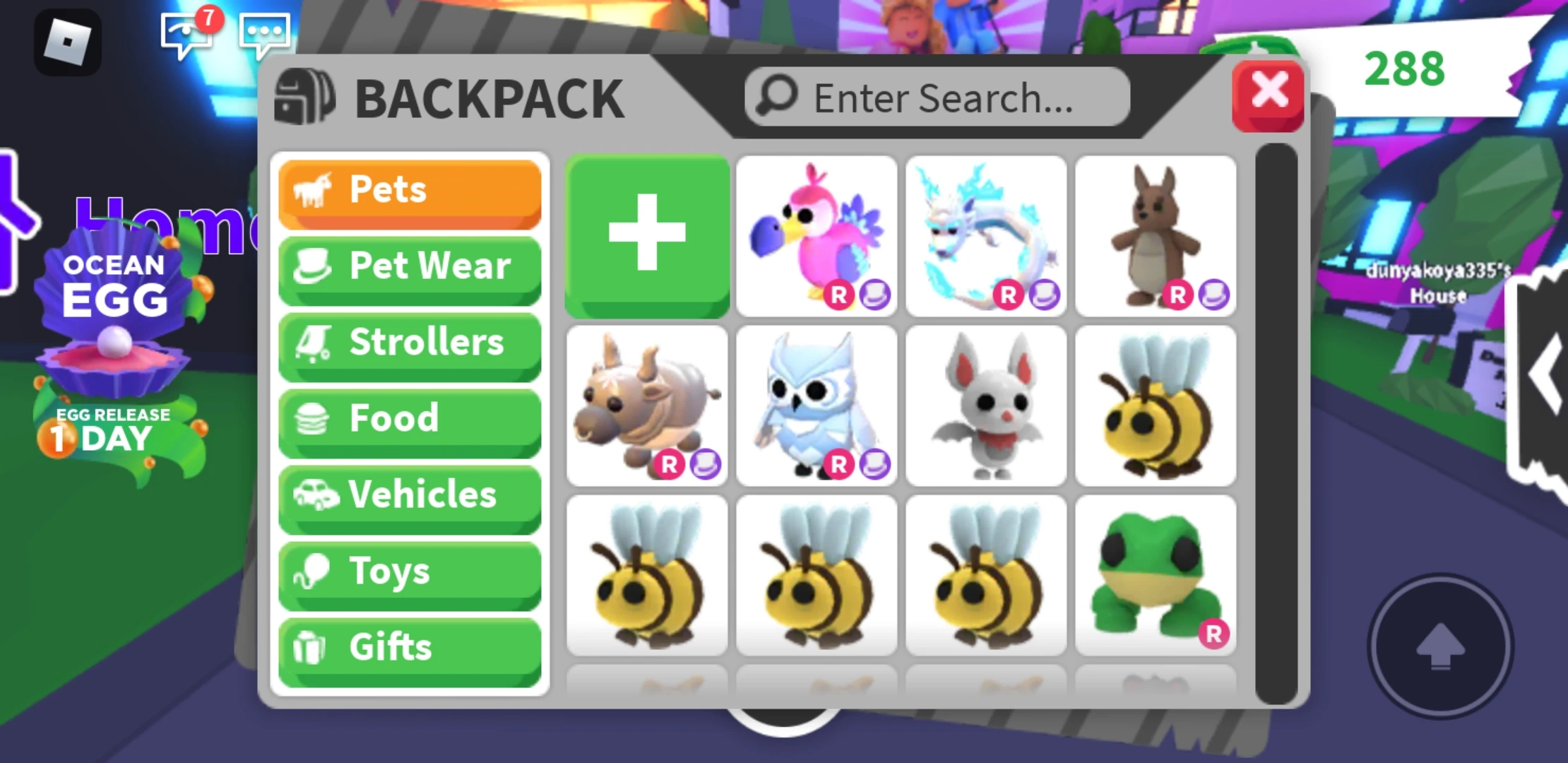 Any offers? DP - N Dragon !INVENTORY REVEAL! (JUST PETS) | Fandom