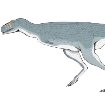 Discuss Everything About Dinopedia | Fandom