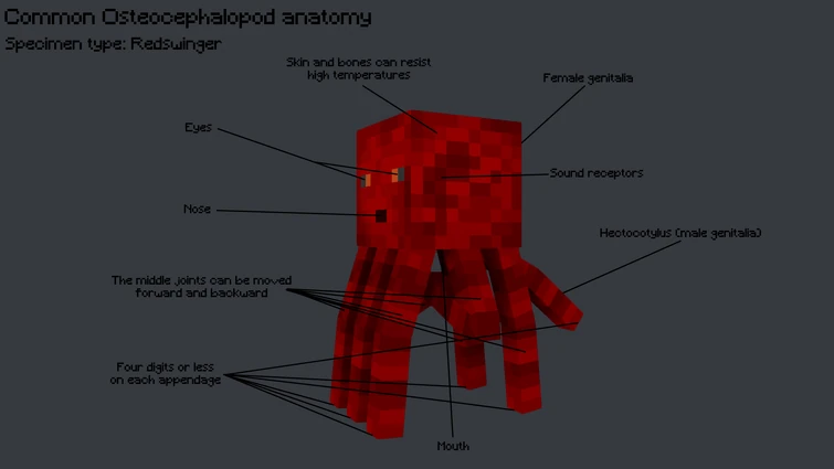 idk, nether animals dump | Fandom