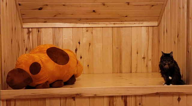 objectified parasite plush. i need this!!! | Fandom