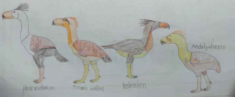 chick Terrorism in South America Meet the TERROR BIRDS!! | Fandom