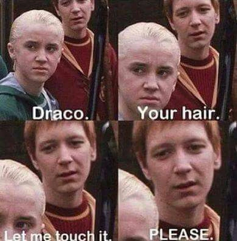 Fred and George Memes | Fandom