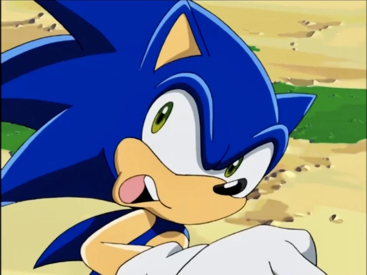 Sonic Reaction Images? | Fandom