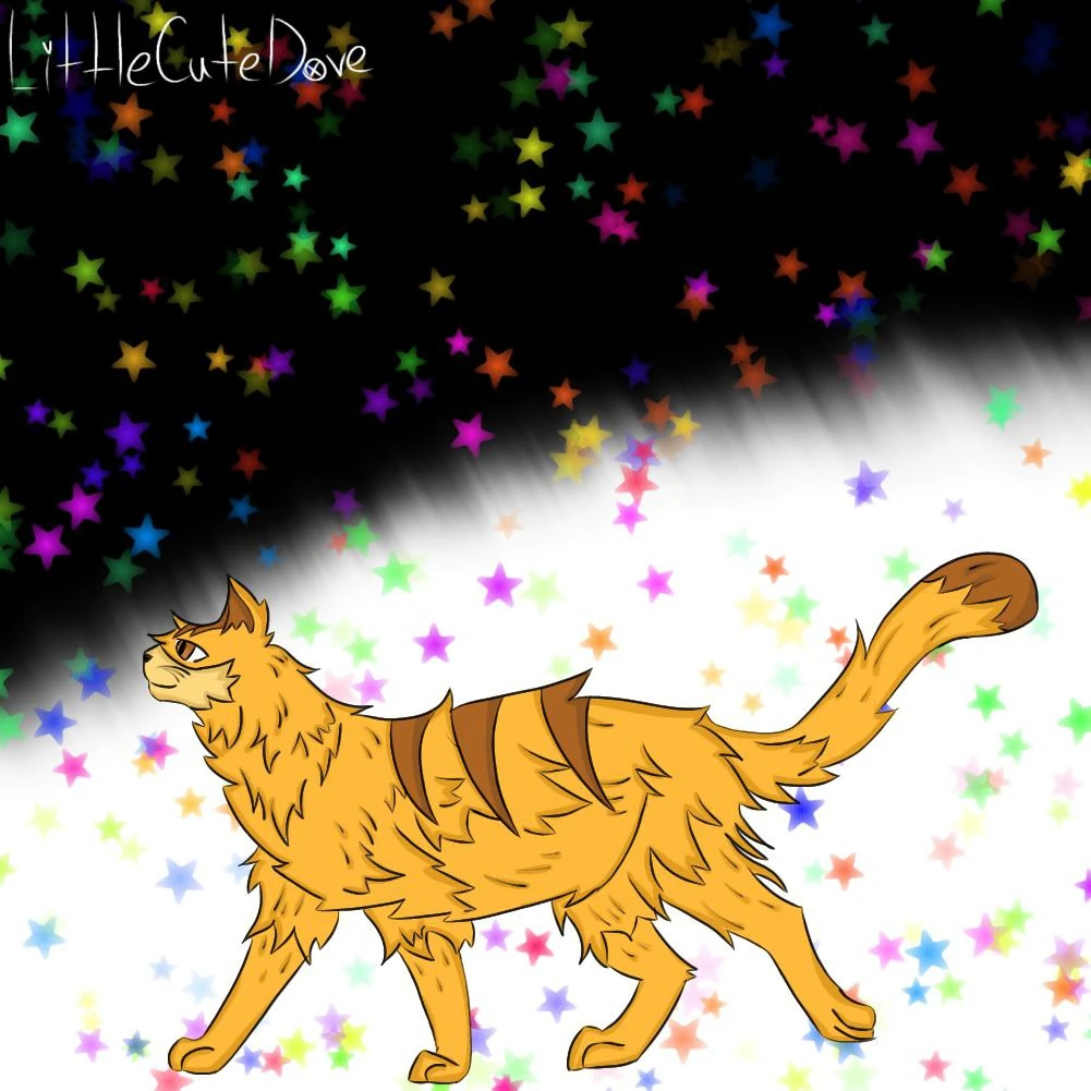 My Ginger Cat fanart! ^w^ | Fandom