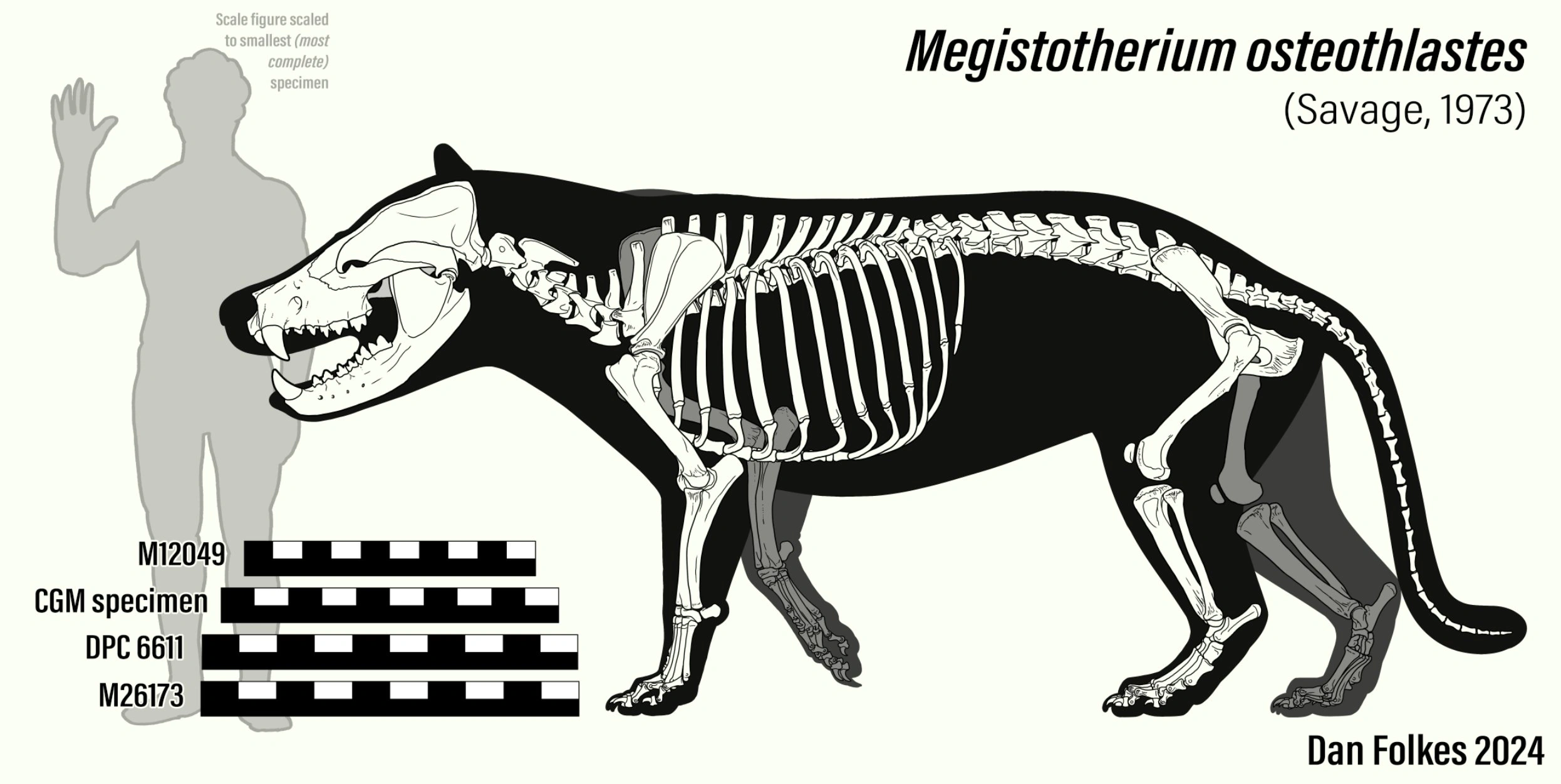 Megistotherium osteothlastes skeletal reconstruction by Dan Folkes | Fandom