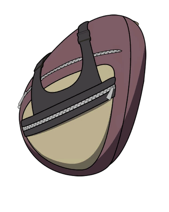 Where is this backpack from | Fandom