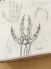 Skiedon | BAAR - Be an Alien: Renewal Wiki | Fandom