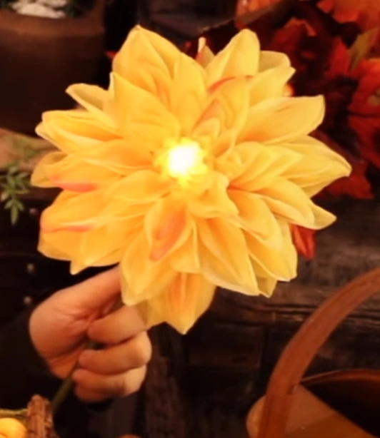 Firefly Flower | Goodnight Moon Babblebrook Wiki | Fandom