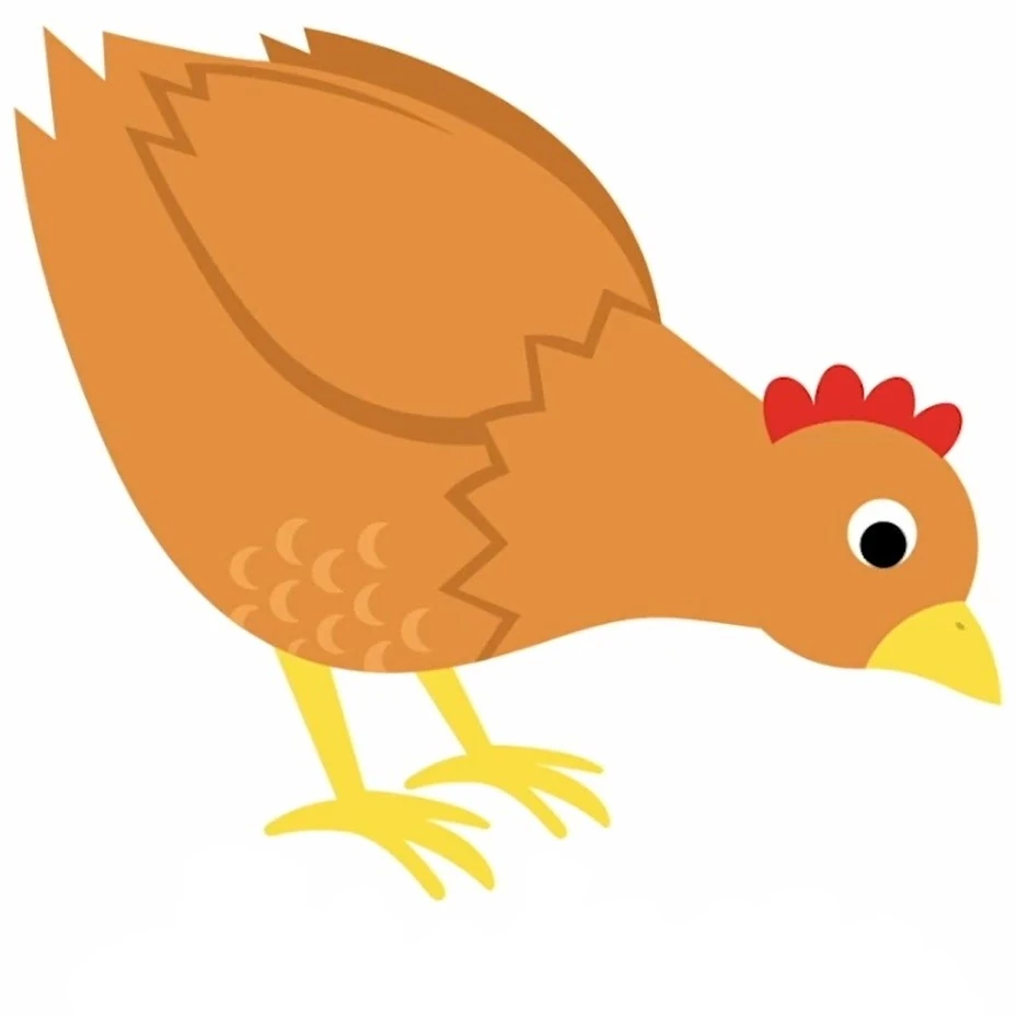 Chicken | Baby Einstein Animals Wiki | Fandom