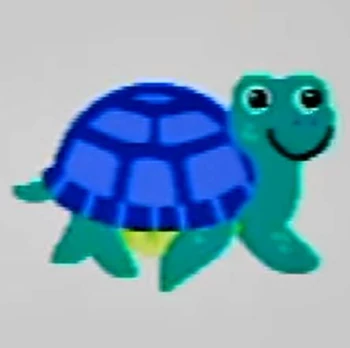 Turtle | Baby Einstein Animals Wiki | Fandom