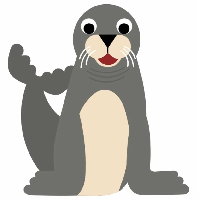 Seal | Baby Einstein Animals Wiki | Fandom