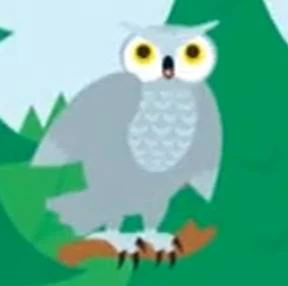 Owl | Baby Einstein Animals Wiki | Fandom