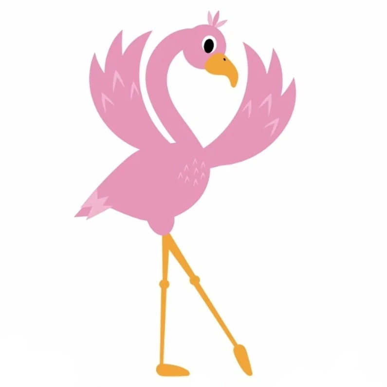 Flamingo | Baby Einstein Animals Wiki | Fandom