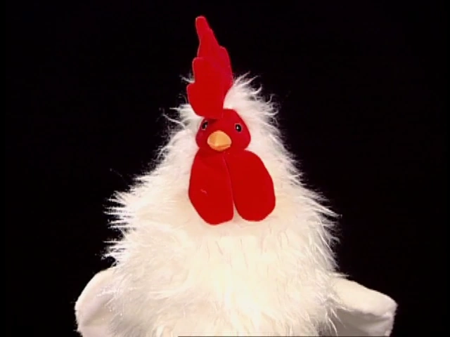 Rikki Chicken | Baby Einstein Wiki | Fandom