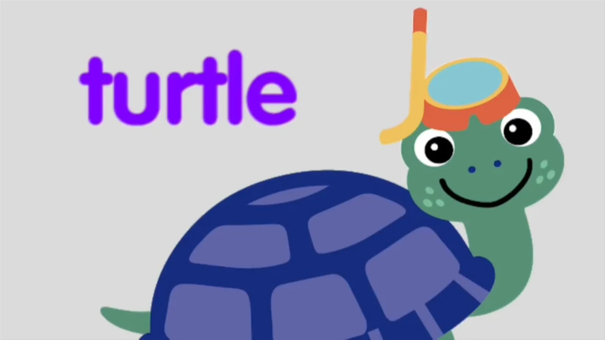 Neptune the Turtle | Baby Einstein Wiki | Fandom