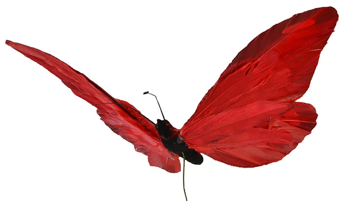 Red Butterfly Prop | Baby Einstein Wiki | Fandom