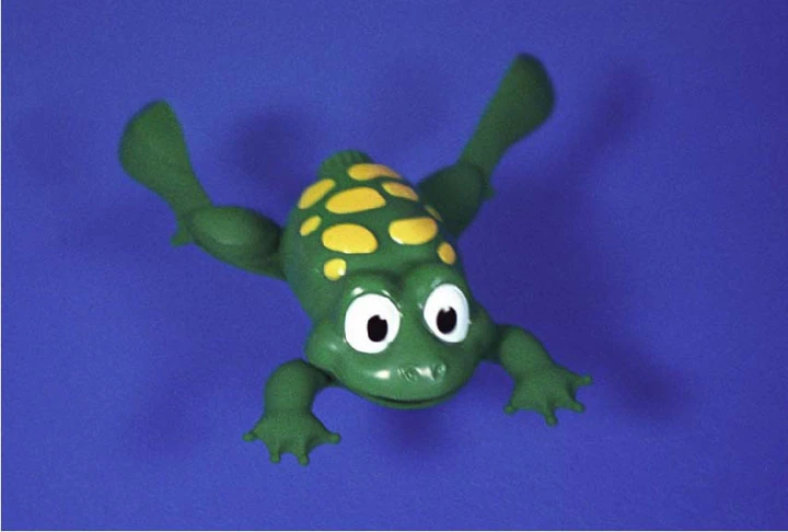 Amphibious Frog | Baby Einstein Wiki | Fandom